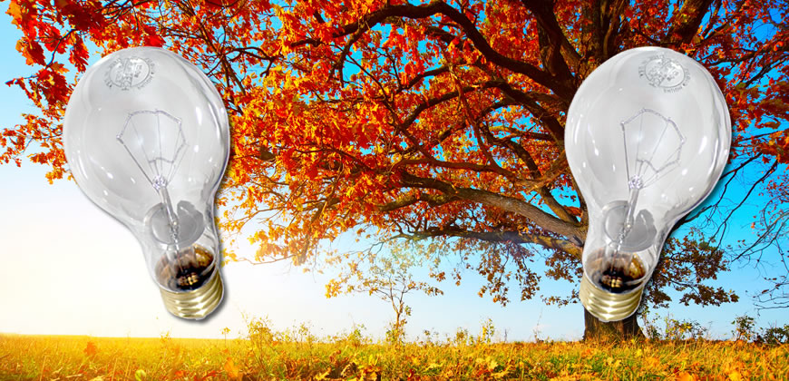 Light Bulbs | LED Bulbs | Long Life Lights | Aero-Tech Light Bulb Company